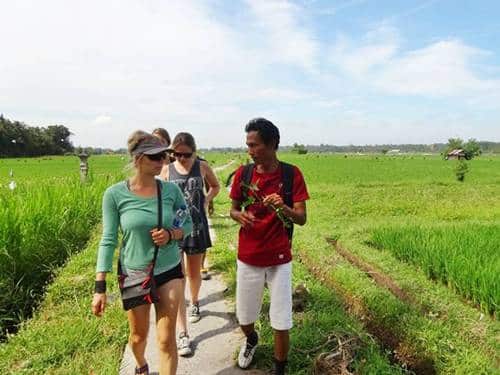 Tema Outbound Kantor Di Bali Trekking PS5 | Ubud Camp Is Bali Adventure ...